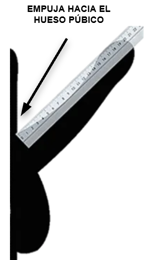 Cómo medir el pene: Longitud, grosor y errores comunes